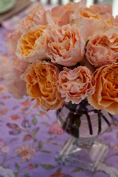 Single Flower Arrangements - Charlotte Moss