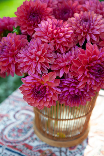 Single Flower Arrangements - Charlotte Moss