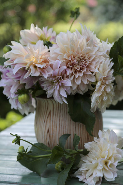 Single Flower Arrangements - Charlotte Moss