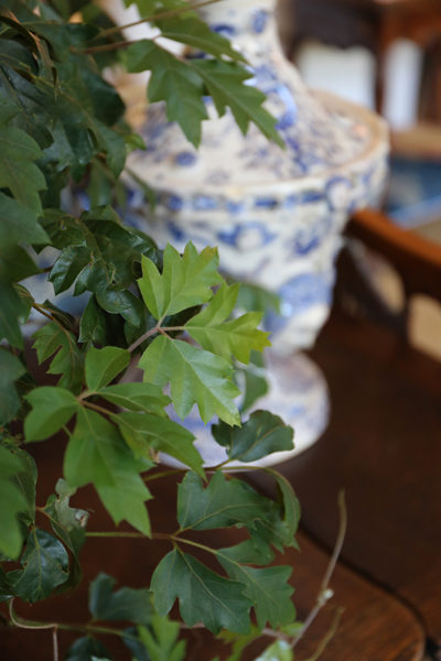 Greens - Charlotte Moss