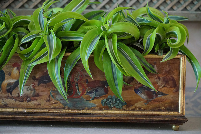 Greens - Charlotte Moss