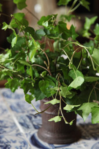 Greens - Charlotte Moss