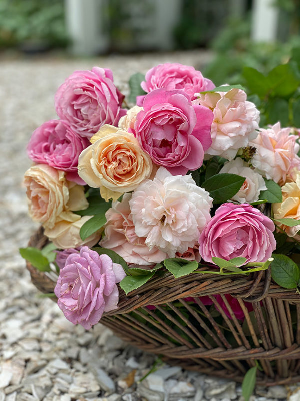 Fleur Cowles - Charlotte Moss