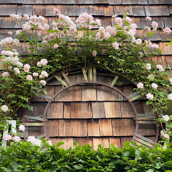 C'est Inspiré - Charlotte Moss